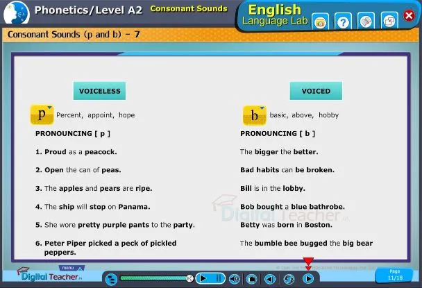 Phonetics Infographics - English Language Lab
